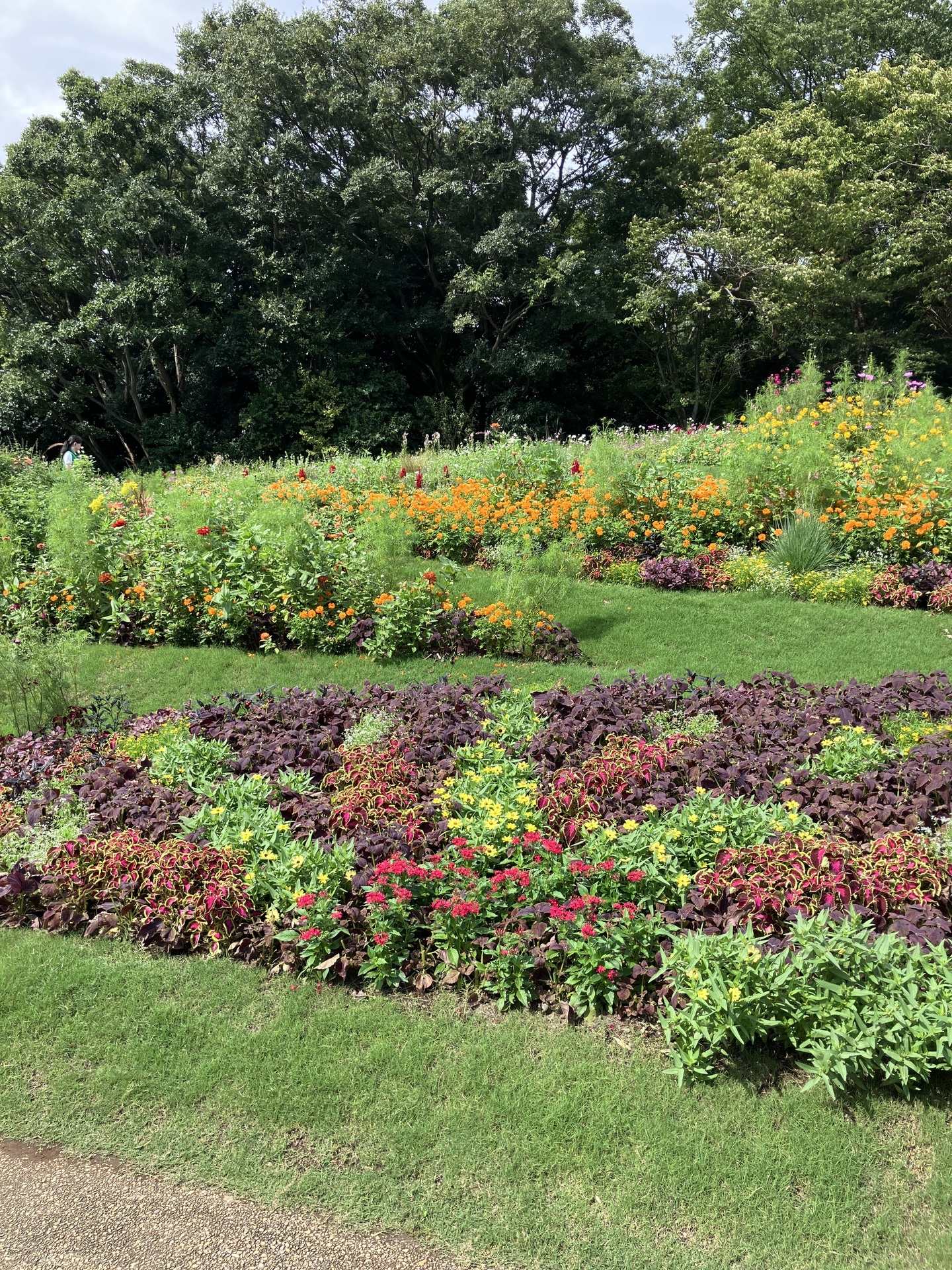秋のお花見記録: 保存箱